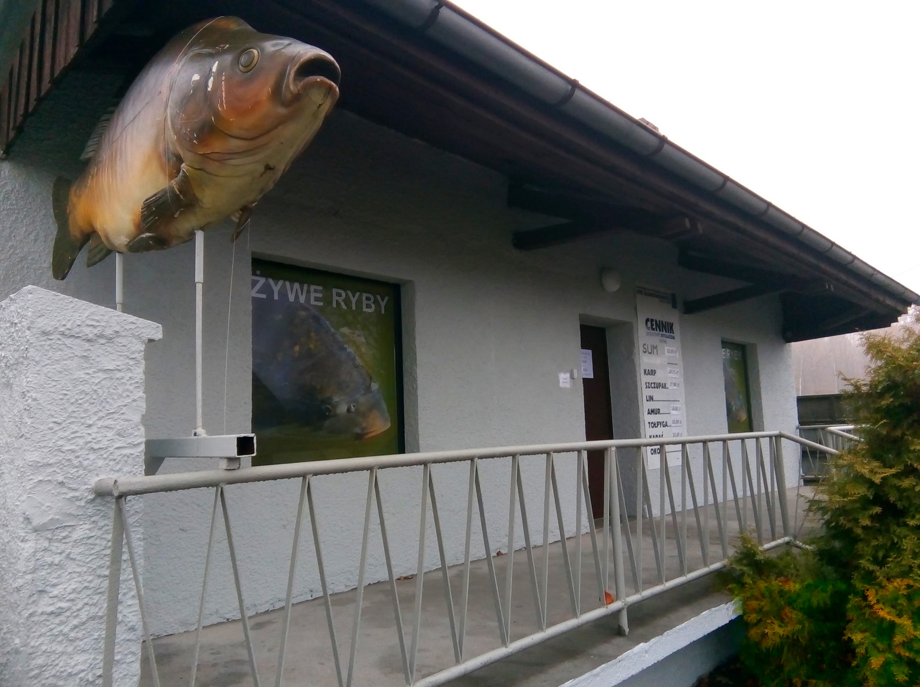 Gospodarstwo Rybackie GROBLEX Marek Ferlin - NASI RYBACY